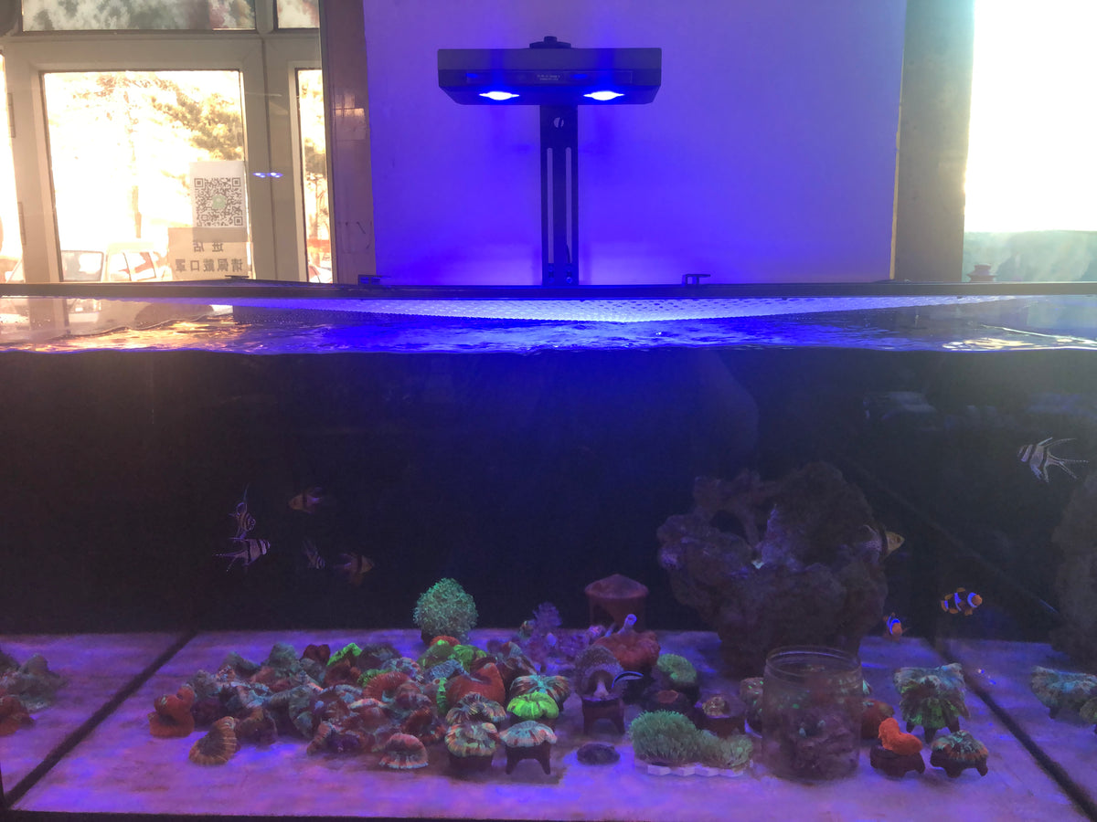 Aquarium Light can make your reef tank have different lighting effects ...